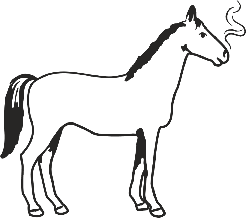 Grashaus Projects | Cannabis-Pilotversuch in Basel-Landschaft